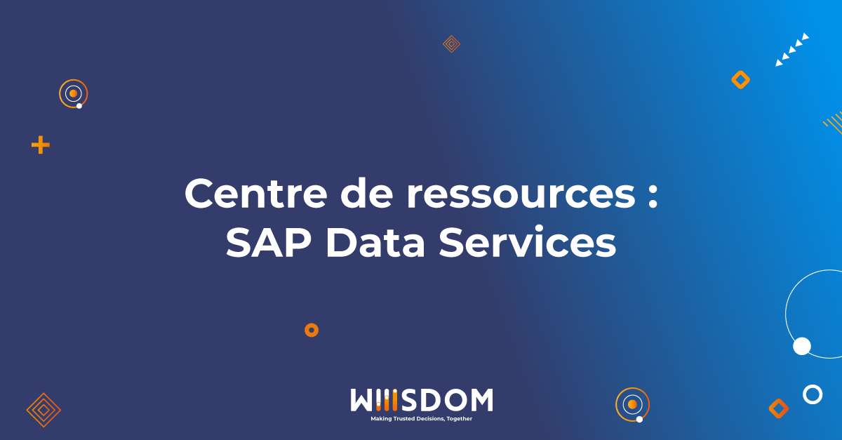 Ressources SAP Data Services | Wiiisdom